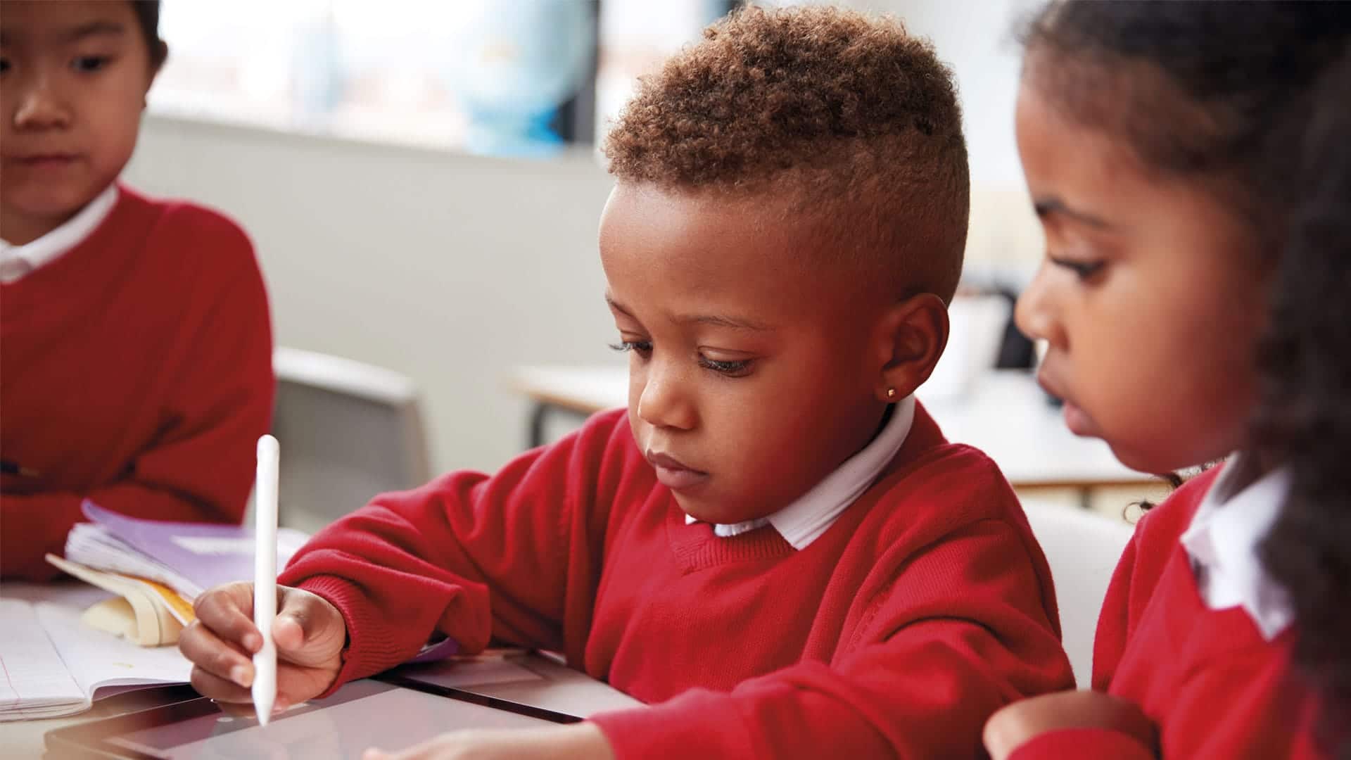 Primary Schools - Emu Ink
