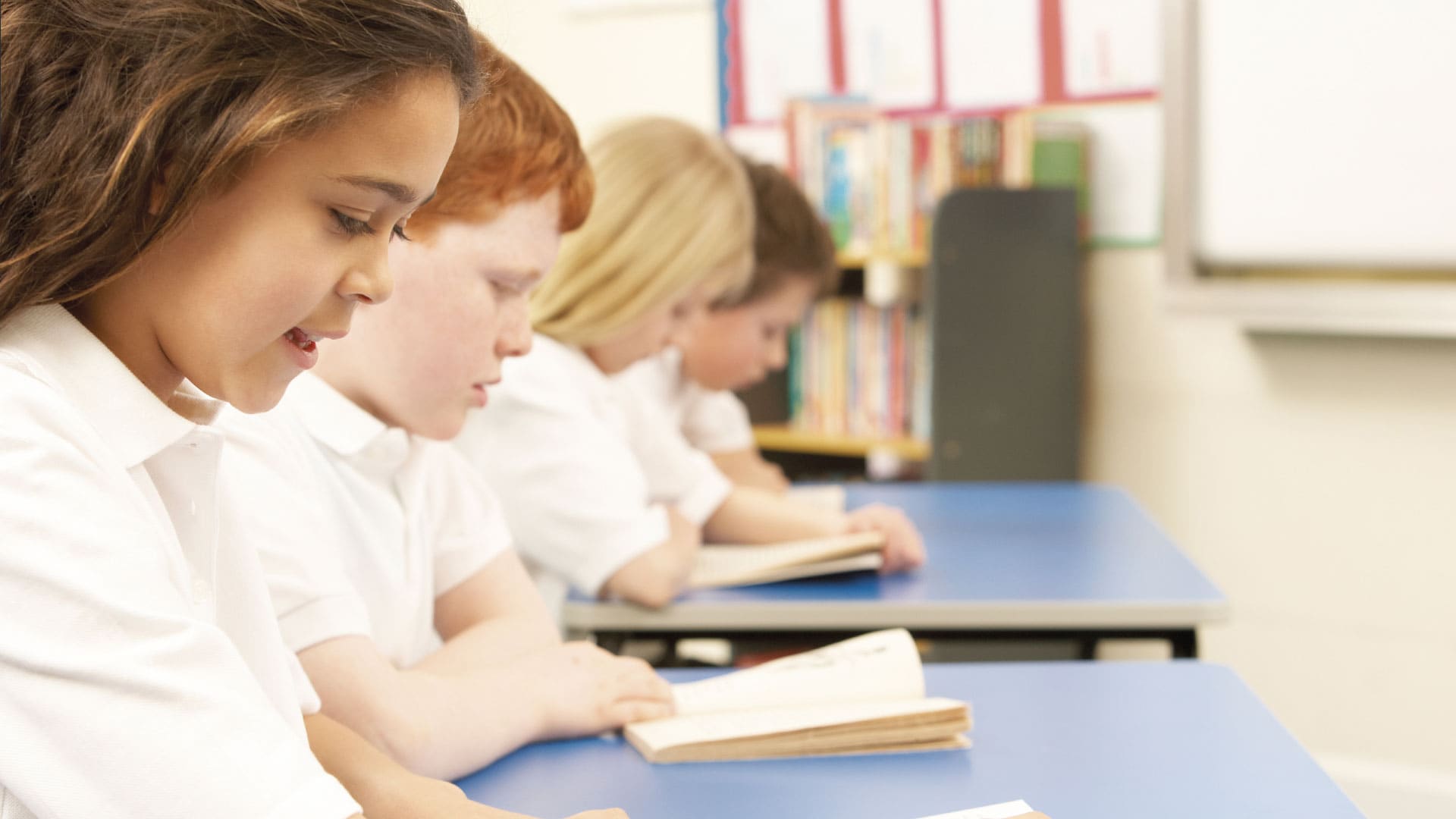 Primary Schools - Emu Ink